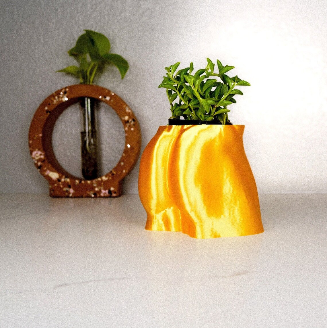 Butt Planter Silky Male Body Pot 5 Inch 3D Printed Planter - Etsy