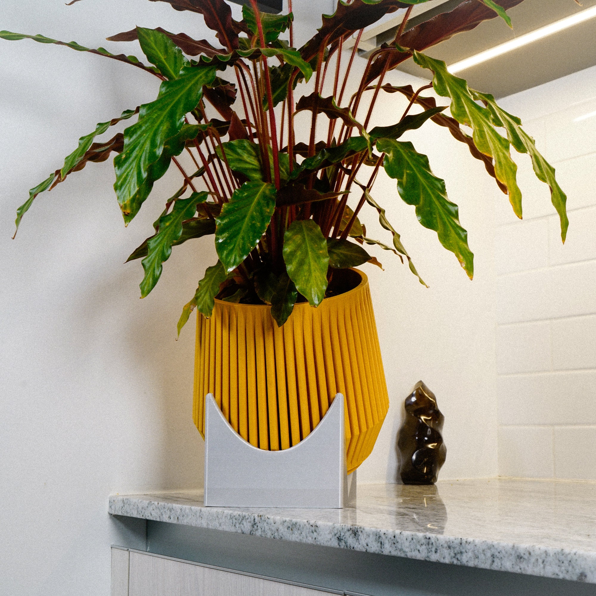 Plant Stand for Indoor Plant Pots - Perfect for House Plants and Plant ...