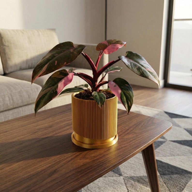 Modern 3D Printed Plant Pot for Plants with Drainage & Saucer - Wave ...