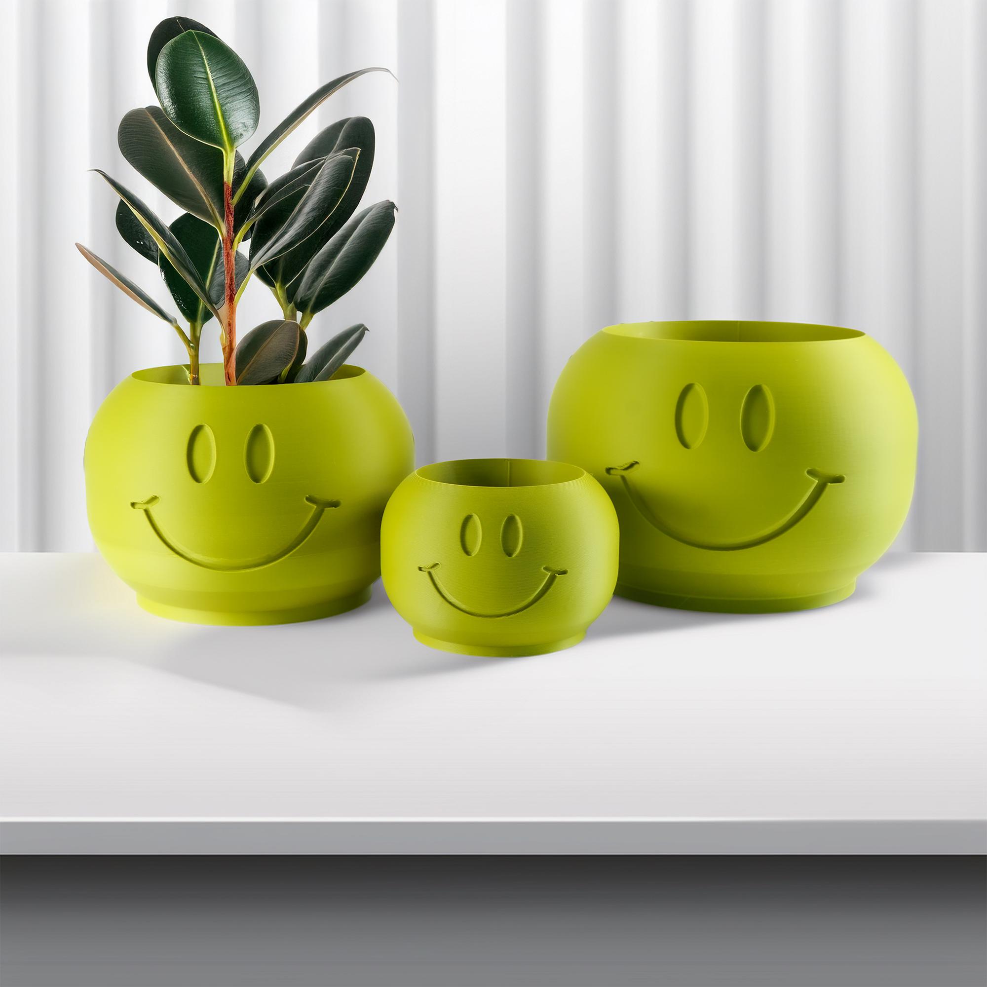 Smiley Face Plant Pot With Drainage and Drip Tray – Cute Ghibli Decor ...