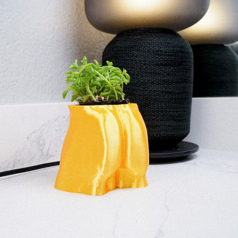 Butt Planter Silky Male Body Pot 5 Inch 3D Printed Planter - Etsy