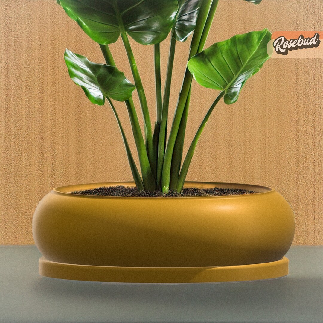 Bubble Plant Pot Unique, Single Ring Planter Pots With Drainage and ...