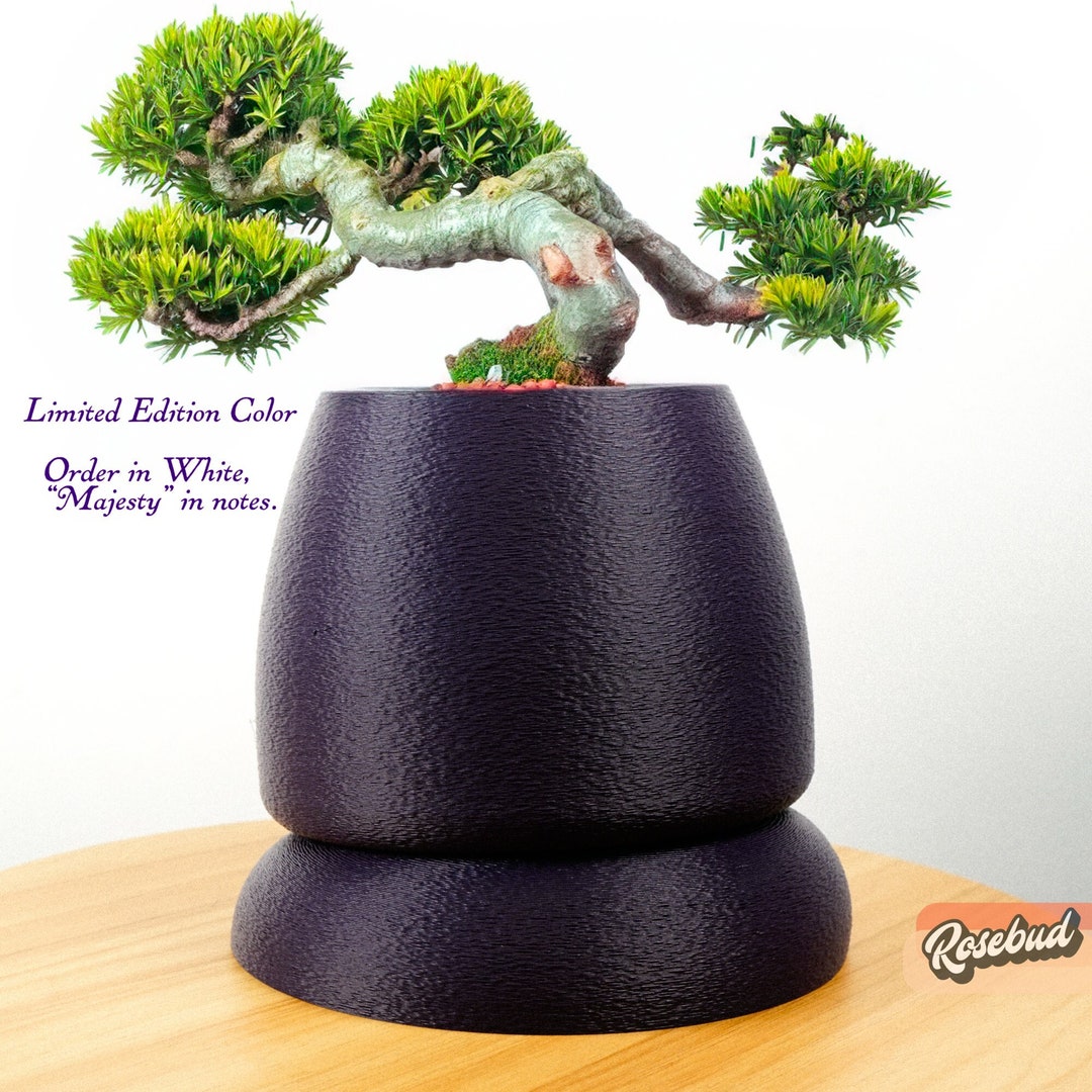 Modern Indoor Planter Pot With Drainage and Drip Tray, Bespoke Home ...