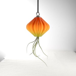 Air Plant Planter, 3D Printed Planter, Magnetic Hanging Pot, Upside ...