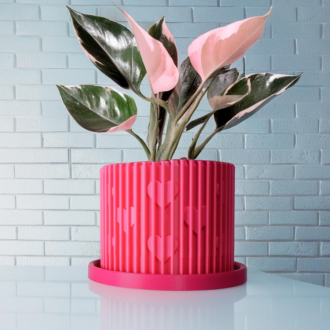 Modern Heart Plant Pot With Drainage & Saucer – Unique Valentine’s Day ...