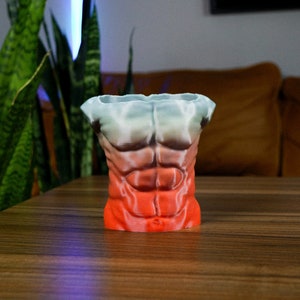 Masc Torso Plant Pot, 3D Printed Planter, Unique Queer Art, Male Abs ...