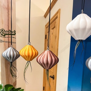 Air Plant Planter, 3D Printed Planter, Magnetic Hanging Pot, Upside ...