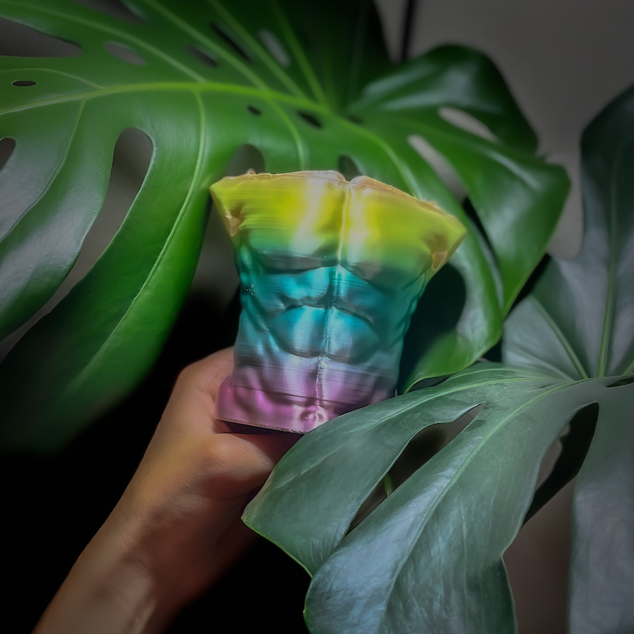 Rainbow Torso Planter Booty Plant Pot Succulent Holder - Etsy