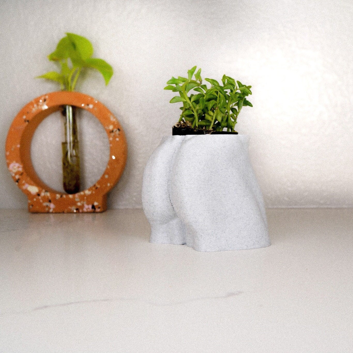 Marble Male Body Pot Muscle Butt Planter 5 Inch 3D Printed - Etsy