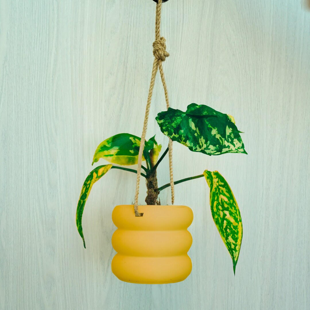 Hanging Bubble Pot, 3D Printed Planter, Hanging Wall Planter With ...