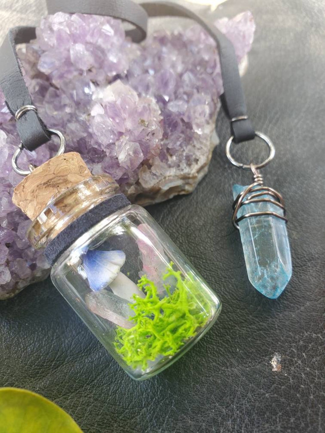 Skyrim Alchemist's Tiny Bleeding Crown Mushroom in a - Etsy