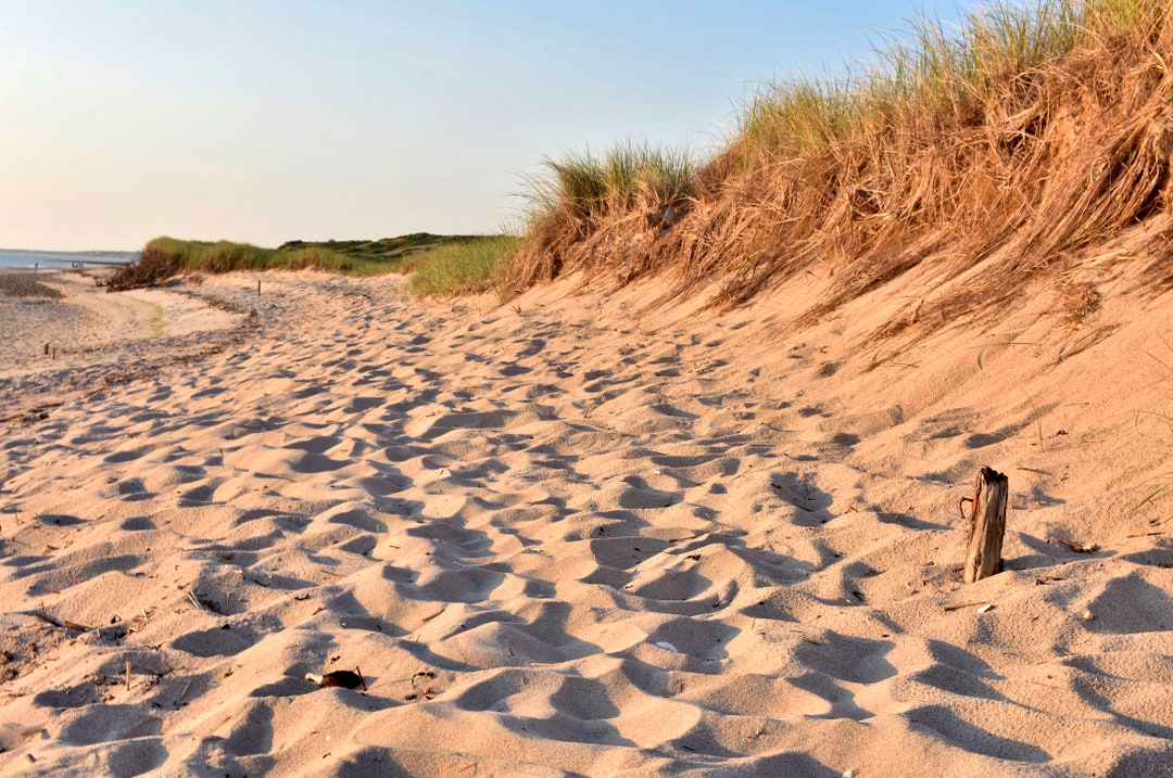 Cape Cod Beach Photo/canvas Print - Etsy