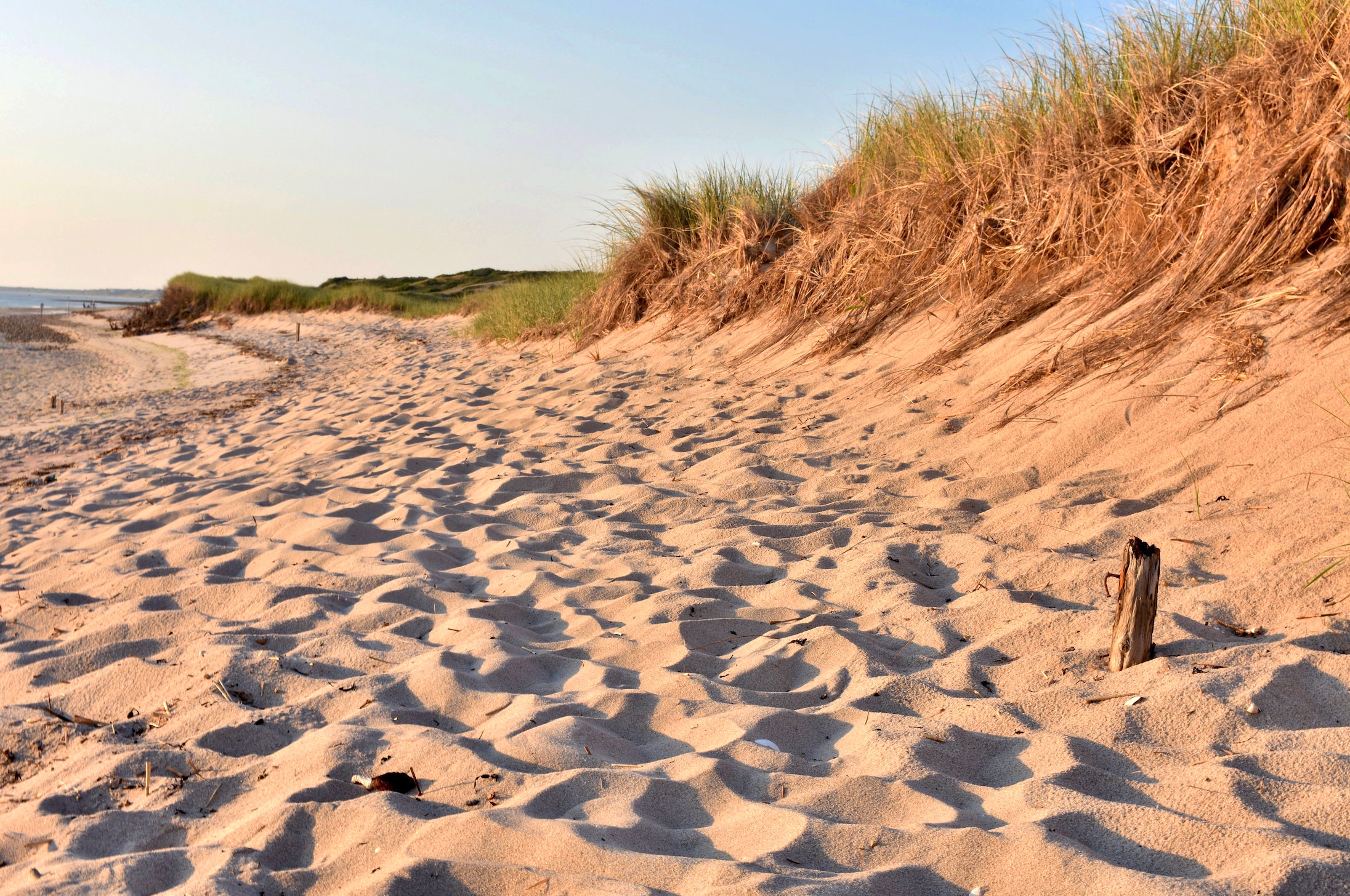 Cape Cod Beach Photo/canvas Print - Etsy