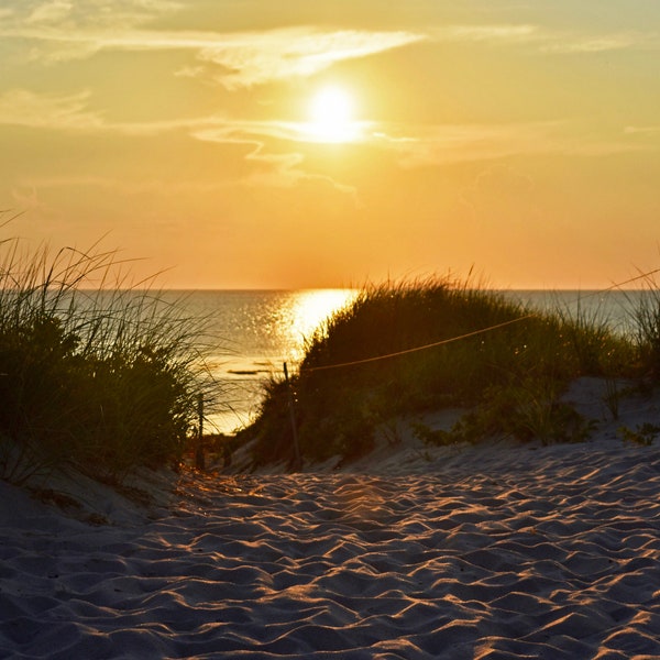 Cape Cod Photography - Etsy