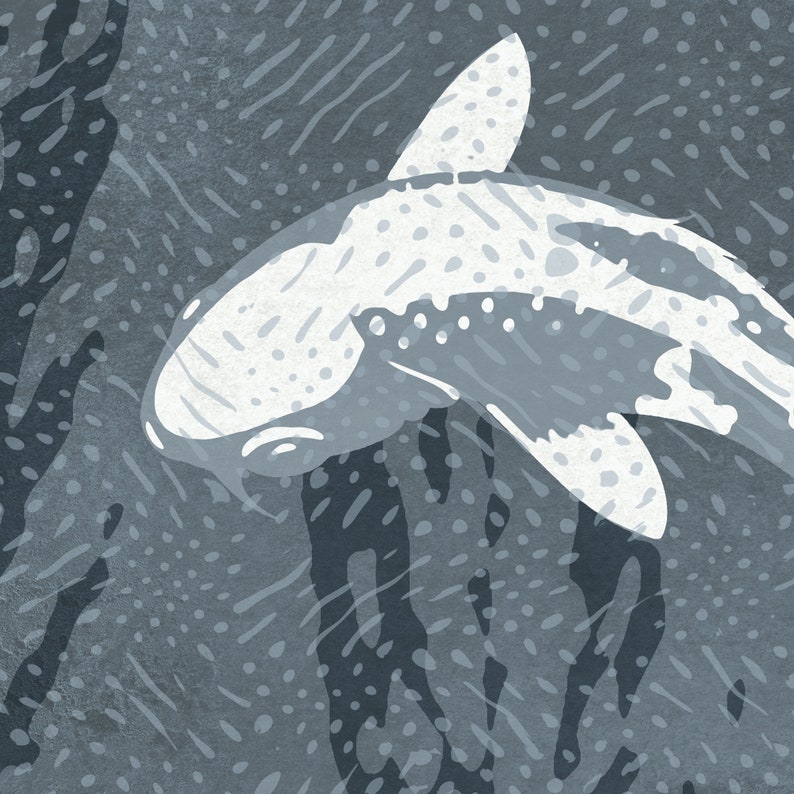 Catfish Wallpaper Mural, Underwater Plants, Textured Vinyl - Etsy
