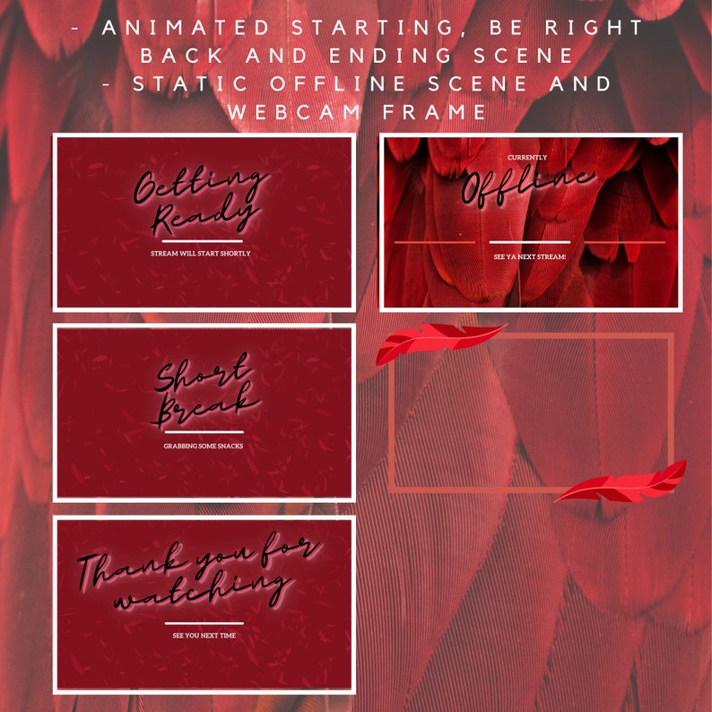 Red Feathers Twitch Overlays- Animated; Starting Soon, Be Right Back ...