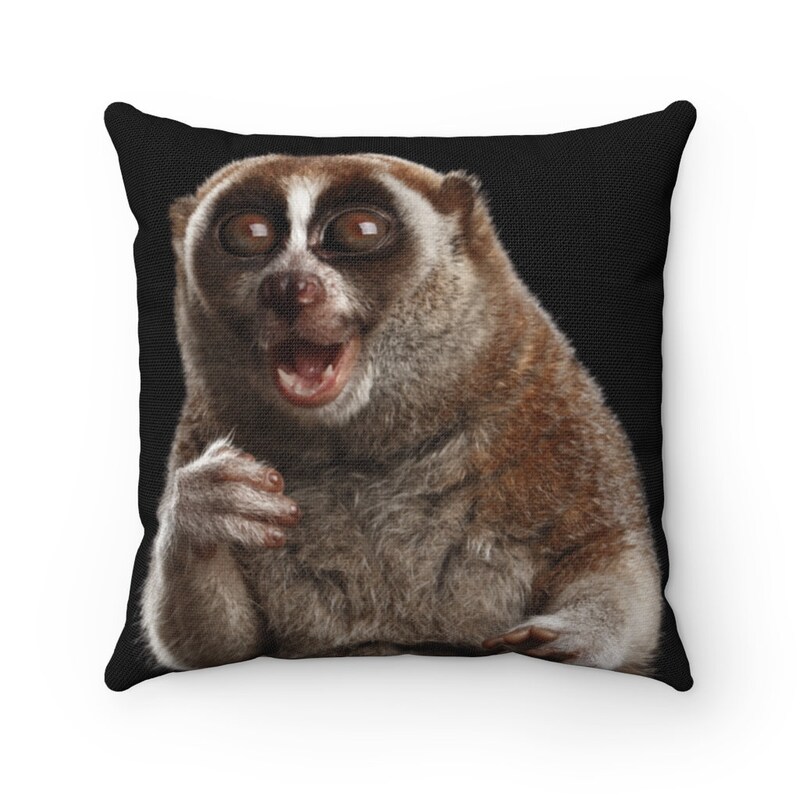 Slow Loris - Etsy