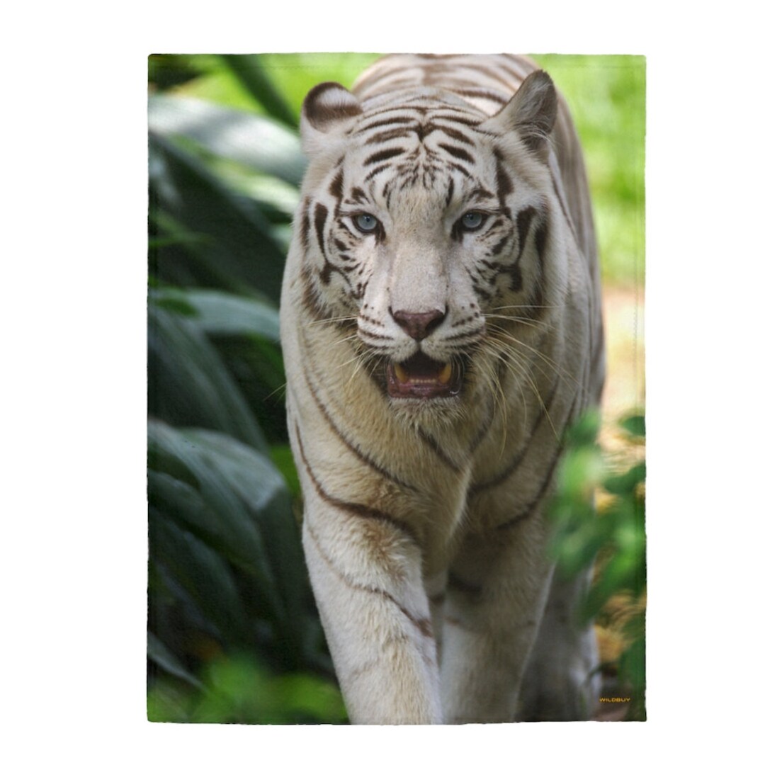 White Tiger Blanket, Velveteen Plush Blanket, Free Shipping, Two Sizes ...