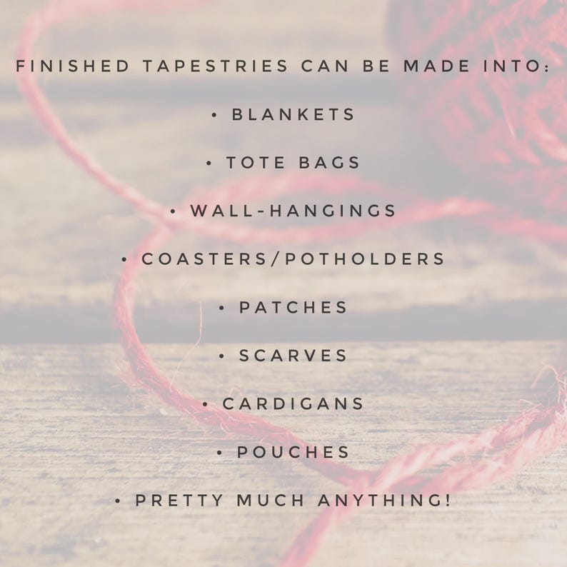 Mothman Tapestry Crochet Pattern: Cryptid Granny Square (digital ...