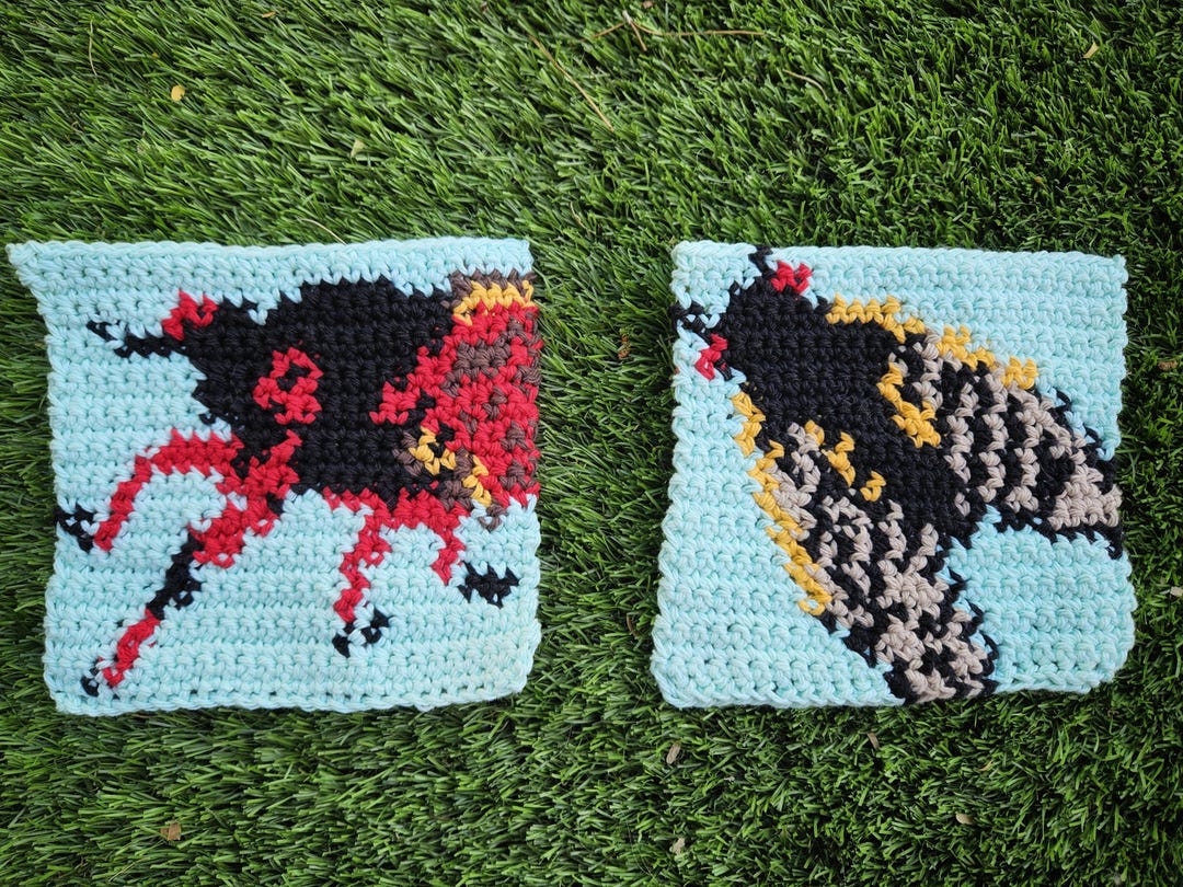 Periodical Cicada Duo - Two Patterns - Beginner Tapestry Crochet - Easy ...