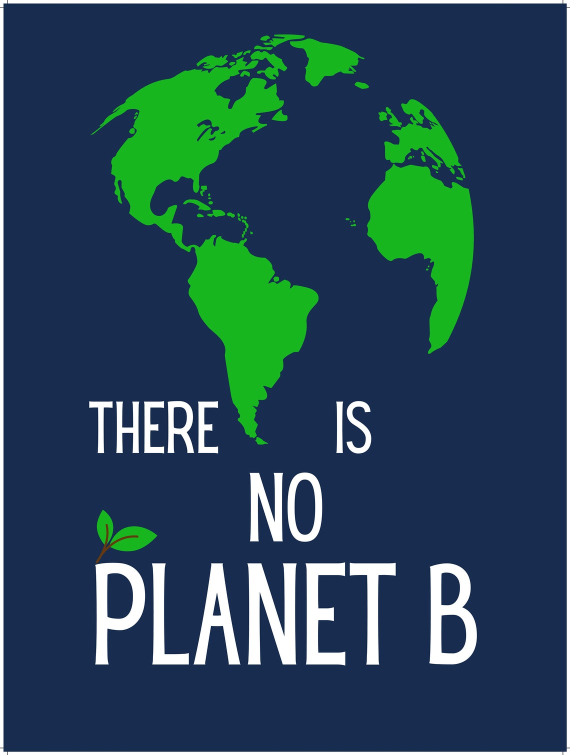 There is No Planet B Print, Greta Thunberg Quote, Environmental Poster ...
