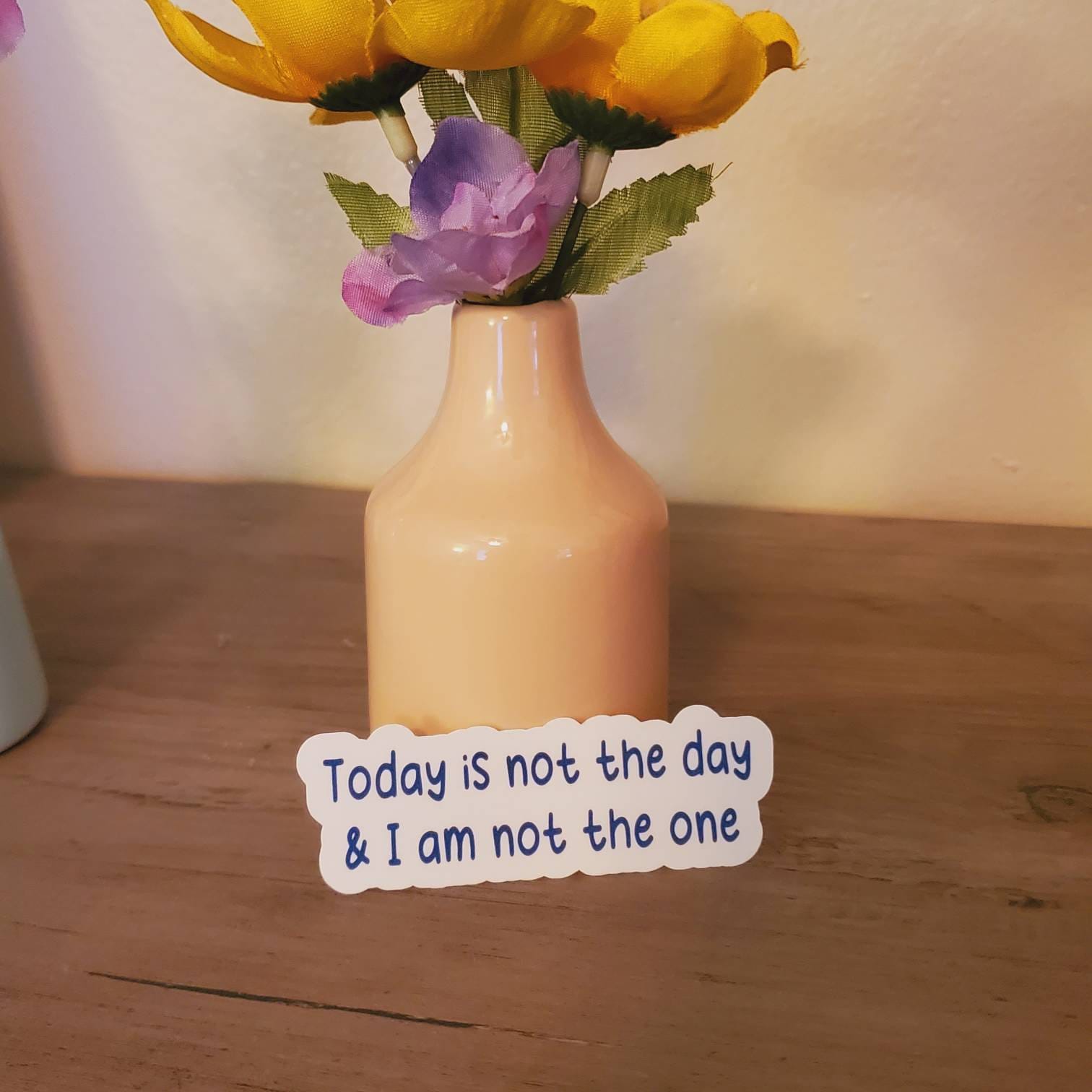 Today is Not the Day and I Am Not the One Water Bottle Sticker - Etsy