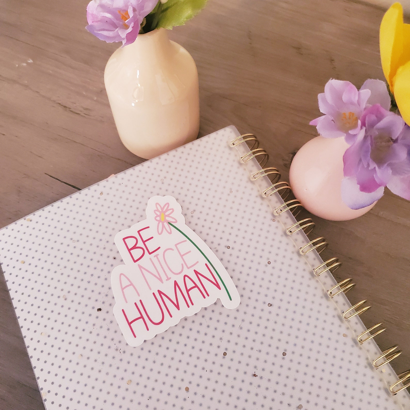 Be a Nice Human Sticker, Inspirational Quote Sticker, Be Kind Sticker ...