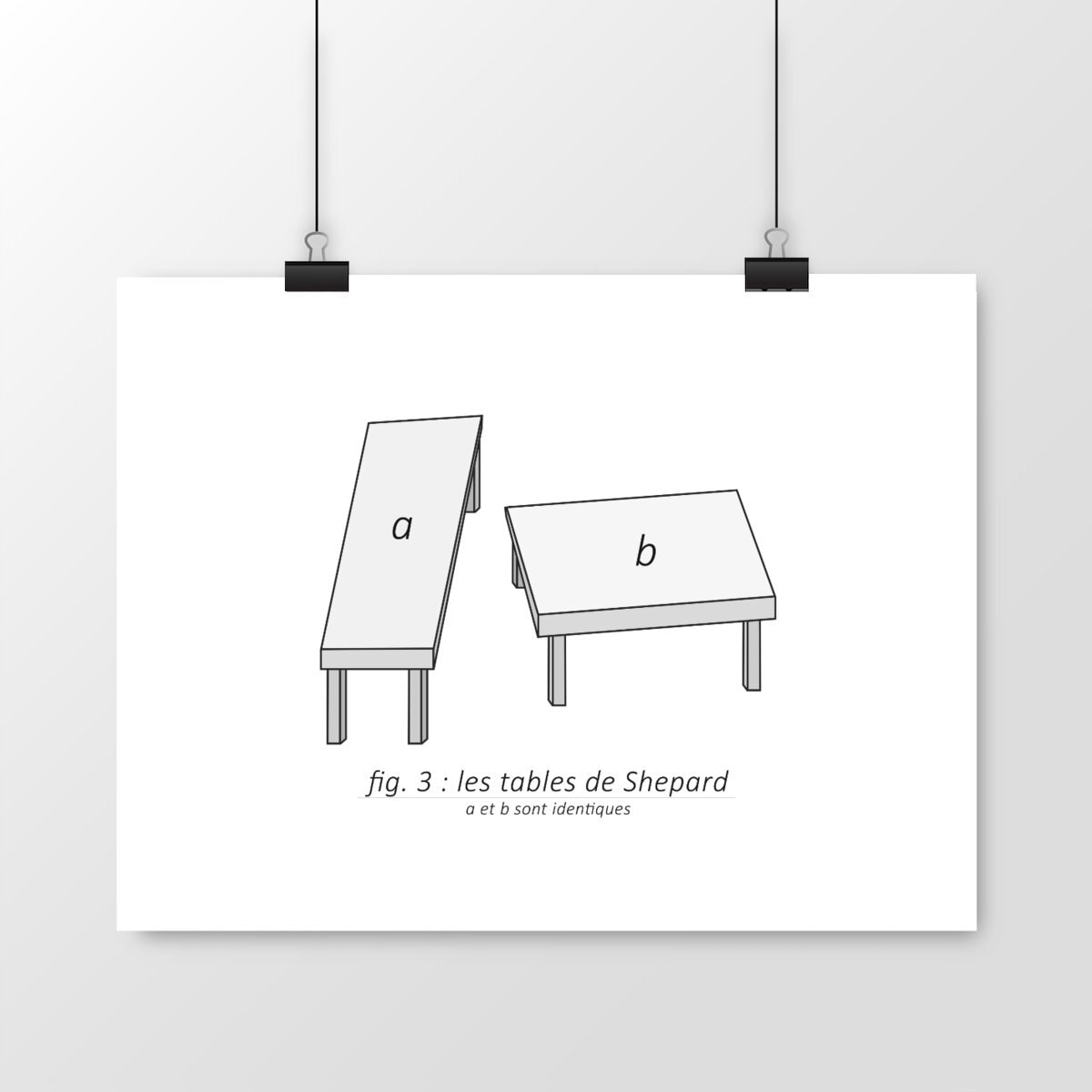 Optical Illusion Illustration: Shepard's Tables - Etsy