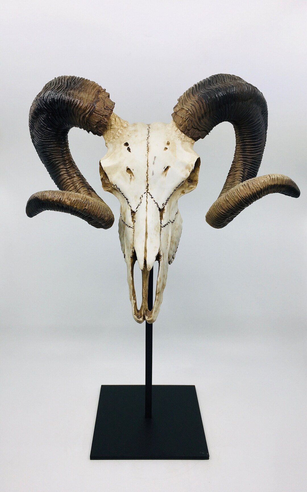 Bighorn Sheep Skull Statue | Realistic Animal Skull Decor | Gothic Home ...