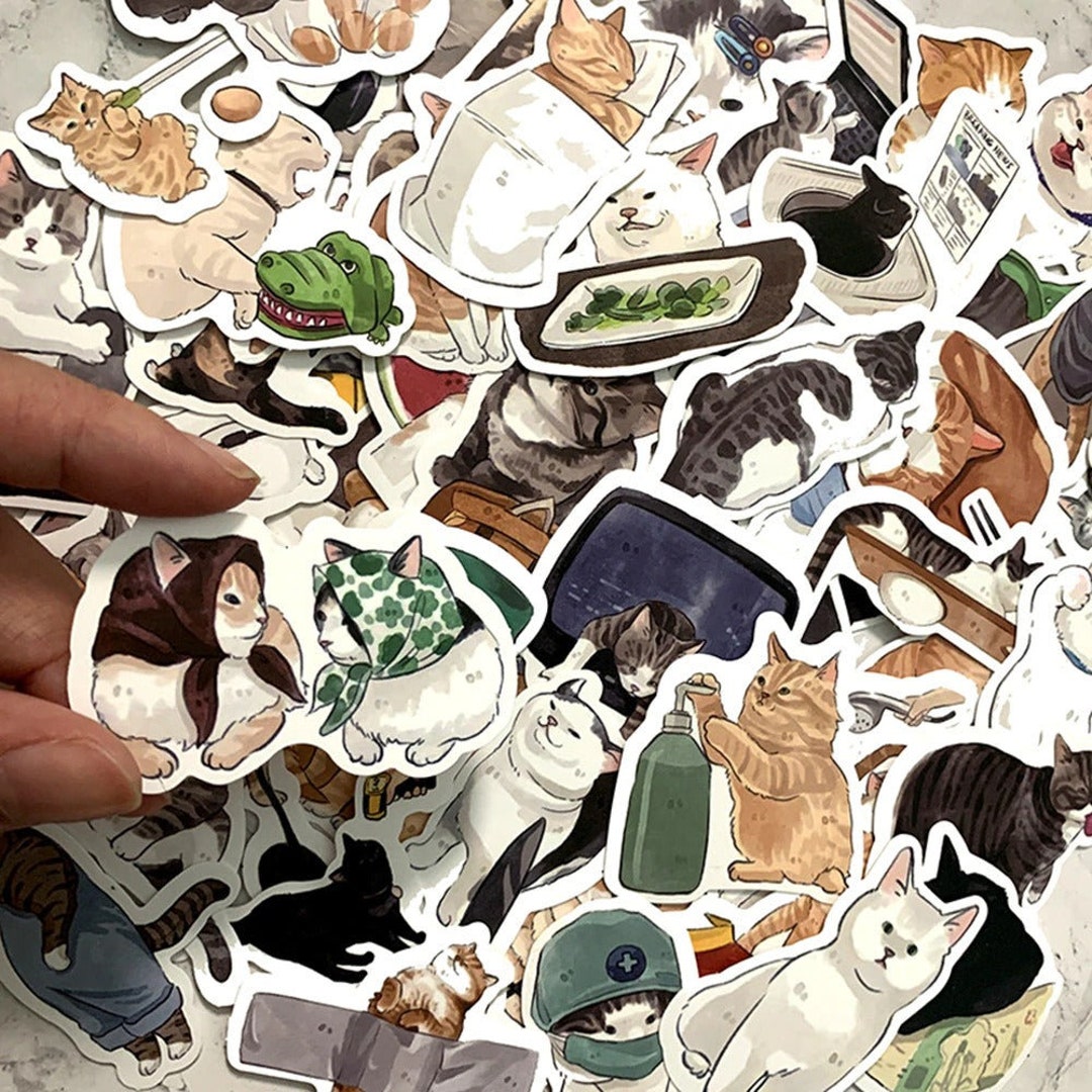 Meme Cat Sticker, Meme Sticker - Etsy