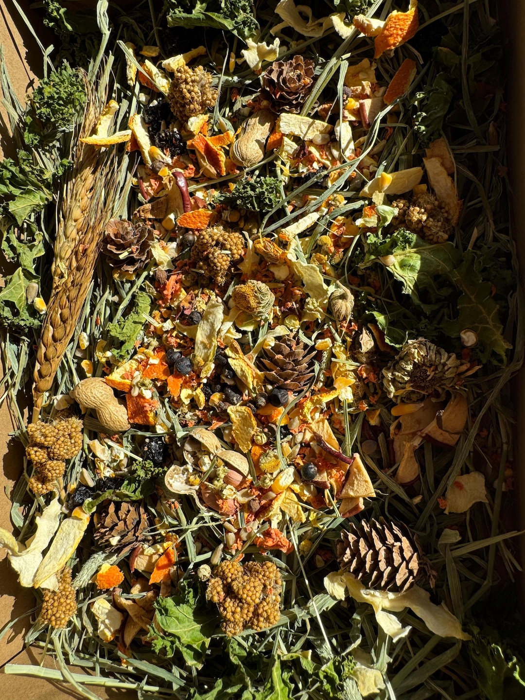 Foraging Box for Birds. Organic Fruit, Vegetables, Berries and Herbs ...