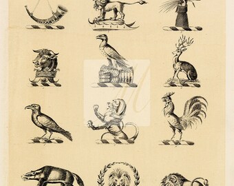 Badger Heraldry - Etsy