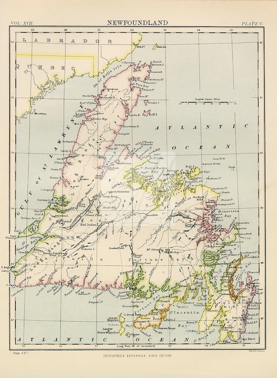 Vintage Map of Newfoundland 1880 Encyclopedia Britannica - Etsy