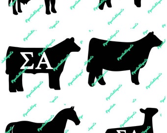 Sigma Alpha Decal - Etsy