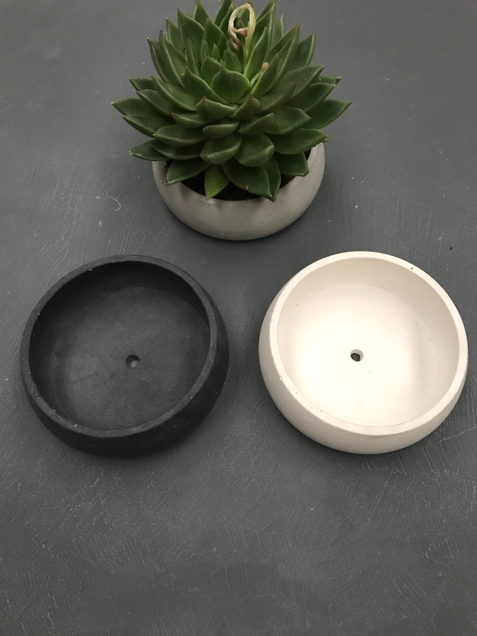 Small Concrete Planter, Concrete Bowl, Small Plant Pot, Planter, 10cm ...