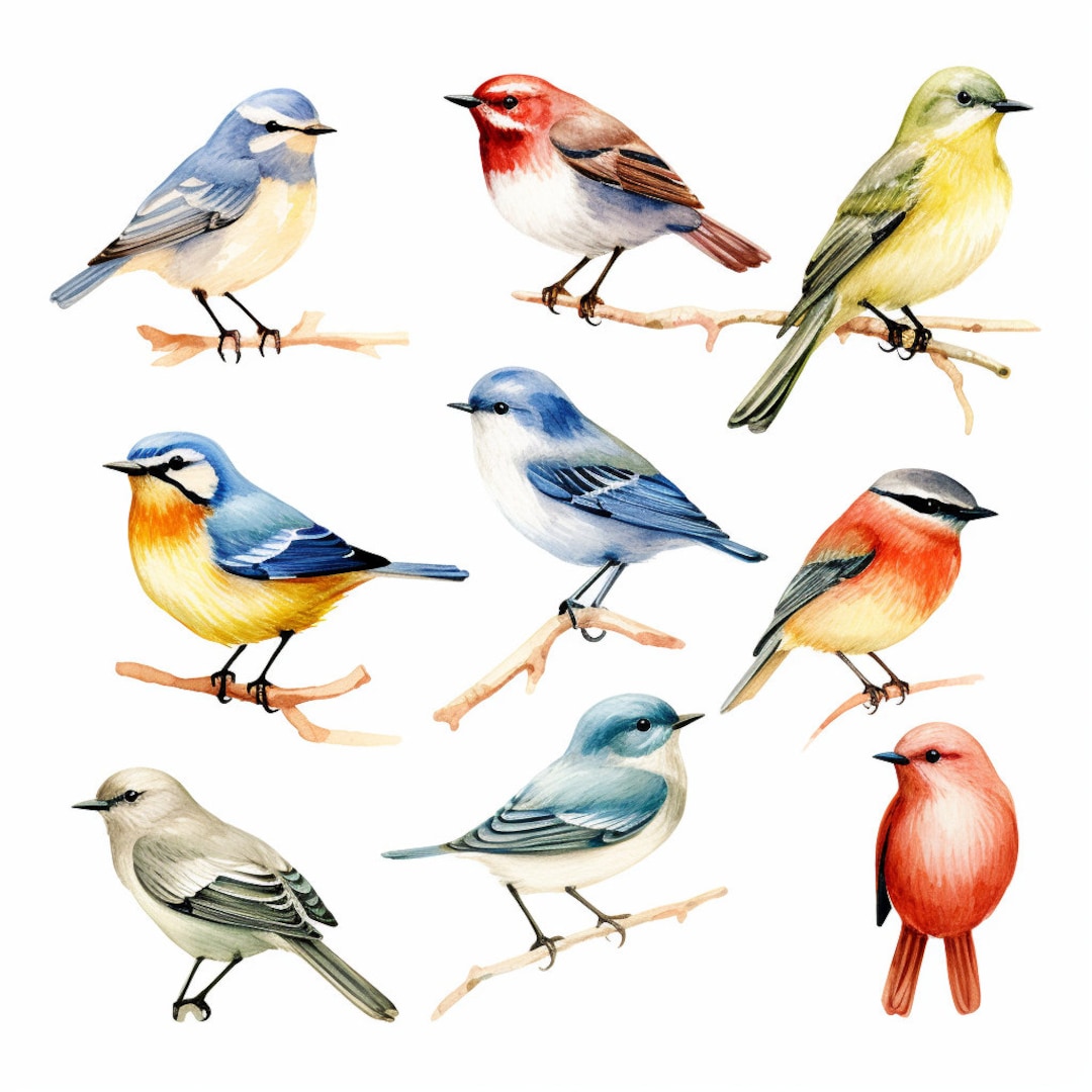 Watercolor Birds Clipart Bundle, Spring Birds Clipart, Birds Bundle ...