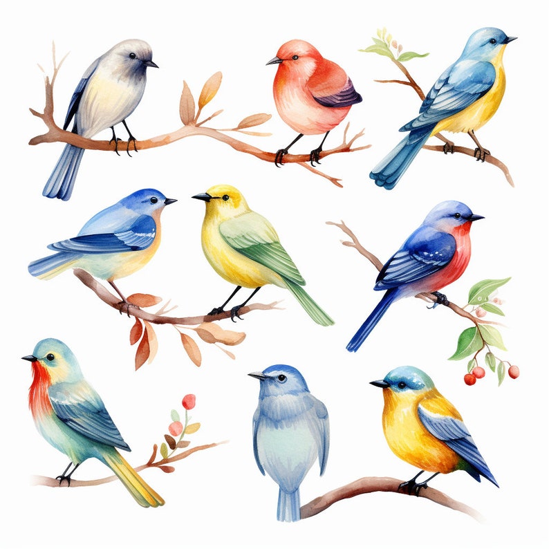 Watercolor Birds Clipart Bundle, Spring Birds Clipart, Birds Bundle ...