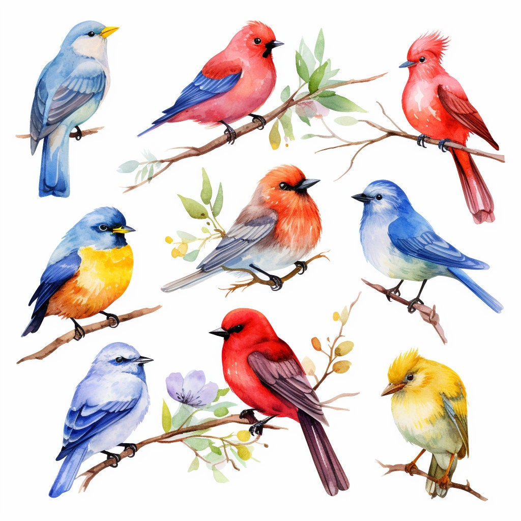 Watercolor Birds Clipart Bundle, Spring Birds Clipart, Birds Bundle ...