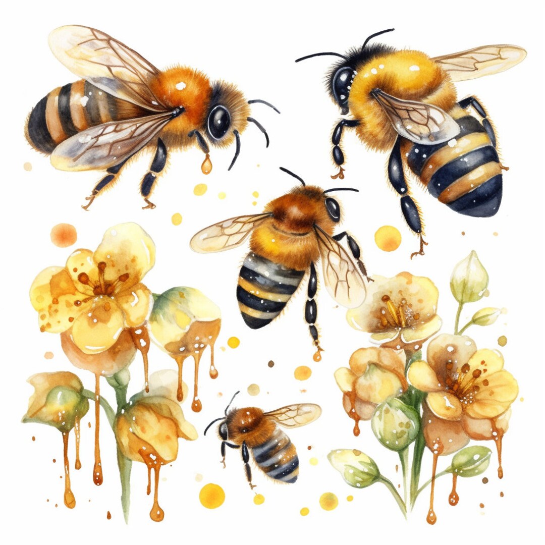 Watercolor Honey Bee Clipart Bundle, 20 PNG Images, Instant Download ...