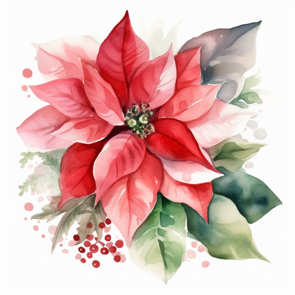 Poinsettia Watercolor Clipart, Christmas Flower Clipart, Instant ...