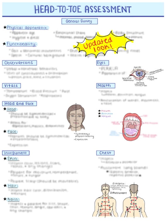 Head-to-toe Assessment Study Guide Study Guide Health - Etsy Australia