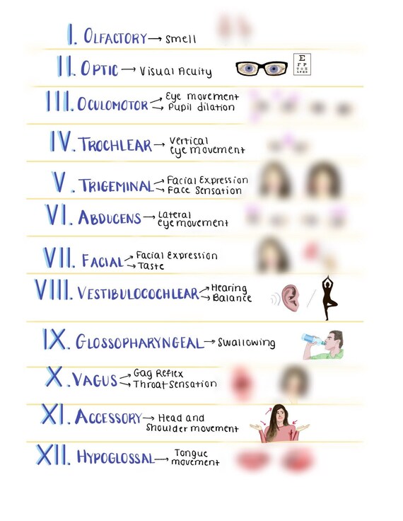 Cranial Nerves Assessment