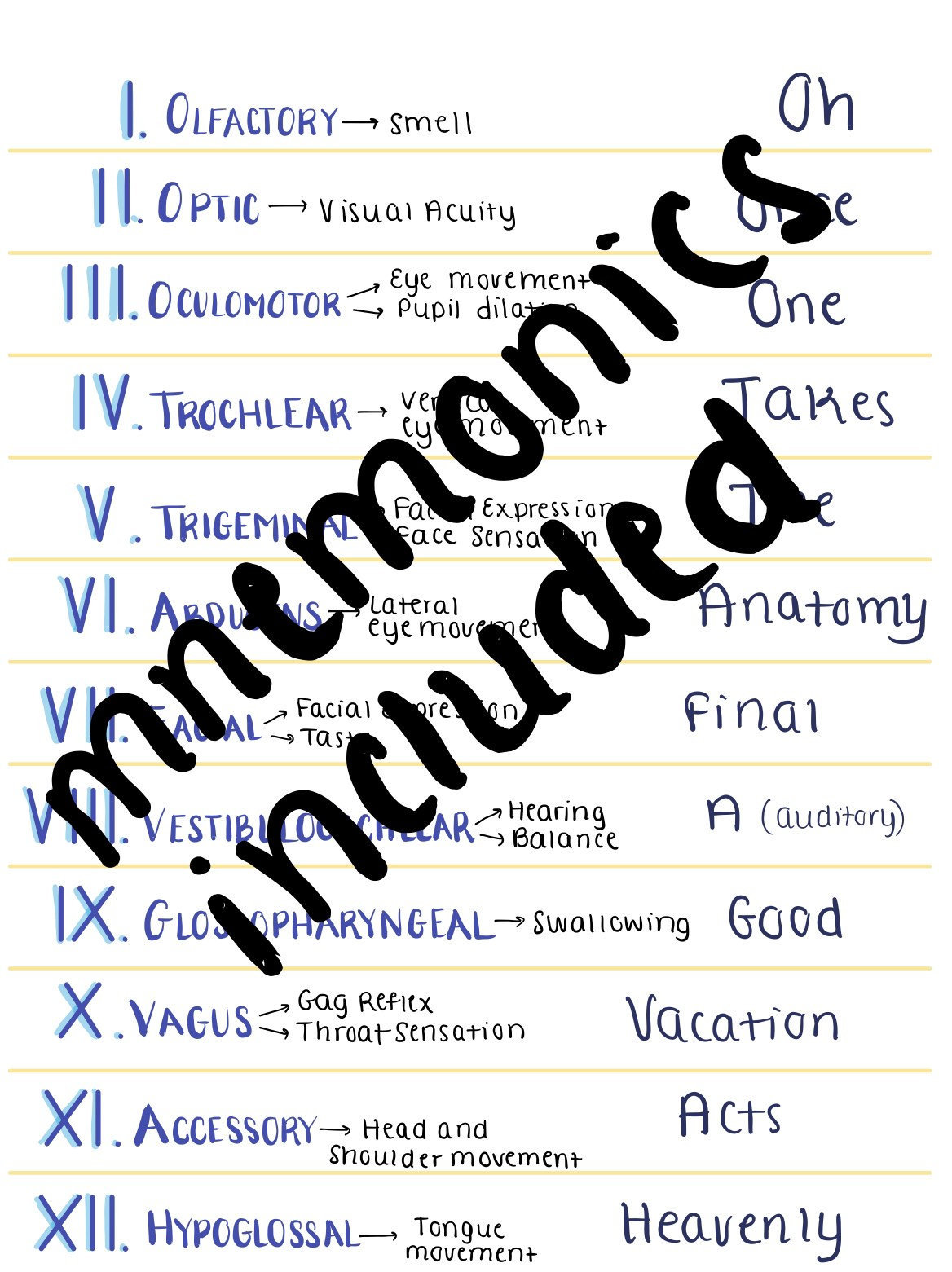 Cranial Nerves Study Guide: Nursing Anatomy & Physiology (PDF Download ...