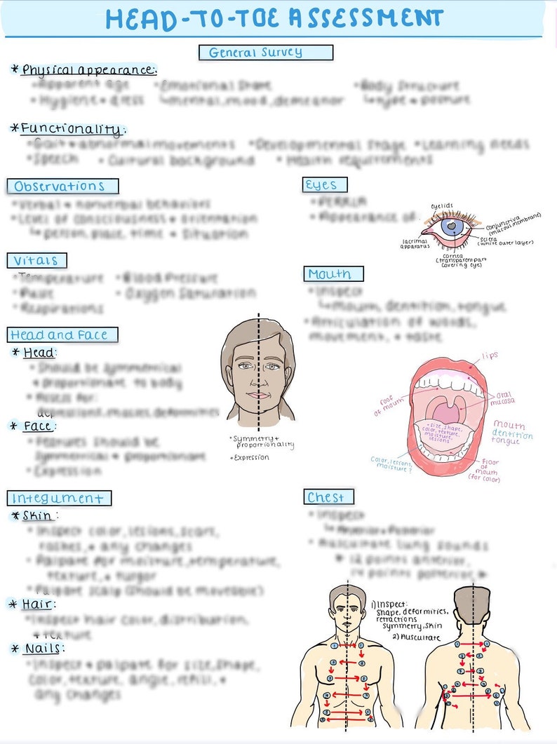 Head-to-toe Assessment Study Guide: Nursing Student Template - Etsy