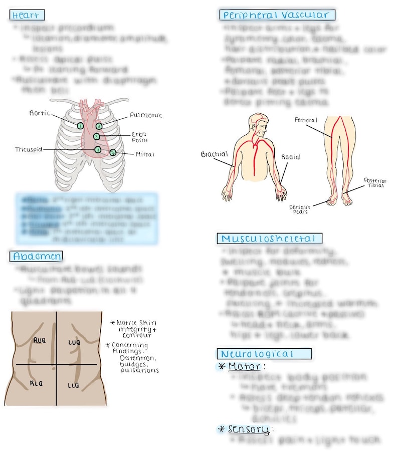 Head-to-toe Assessment Study Guide: Nursing Student Template - Etsy