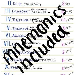 Cranial Nerves Study Guide - Nursing Study Guide - Health Assessment ...