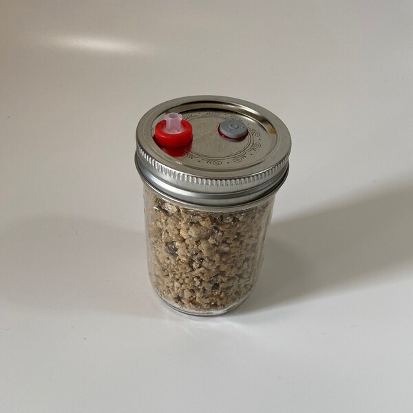 Cake in a Jar - Etsy