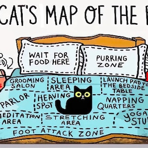 A Cats Map of the Bed Pet Lovers Home Decor Gift Idea Wall Art Brand ...