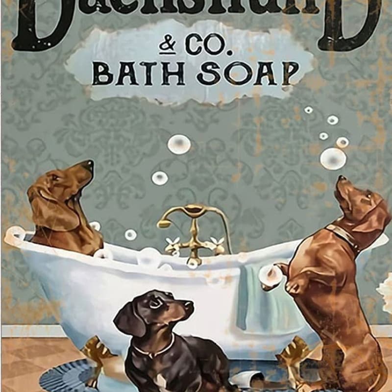Wash Your Weiner - Etsy