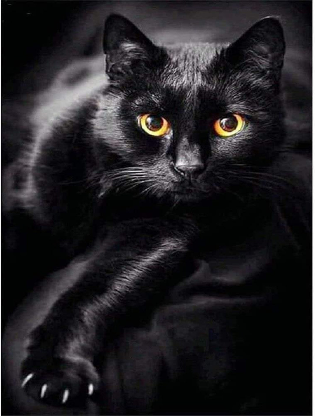 Black Cat Diamond Painting Kit: DIY 5D Art, Home Decor - Etsy